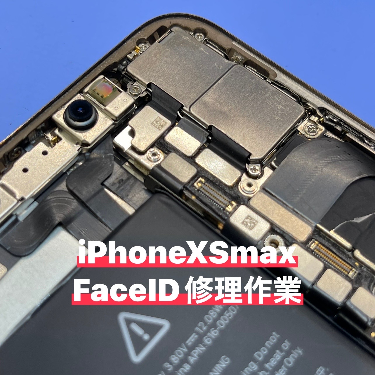 iPhone FaceID修理が可能になりました！ - スマホピットイン | ゆめタウン筑紫野店